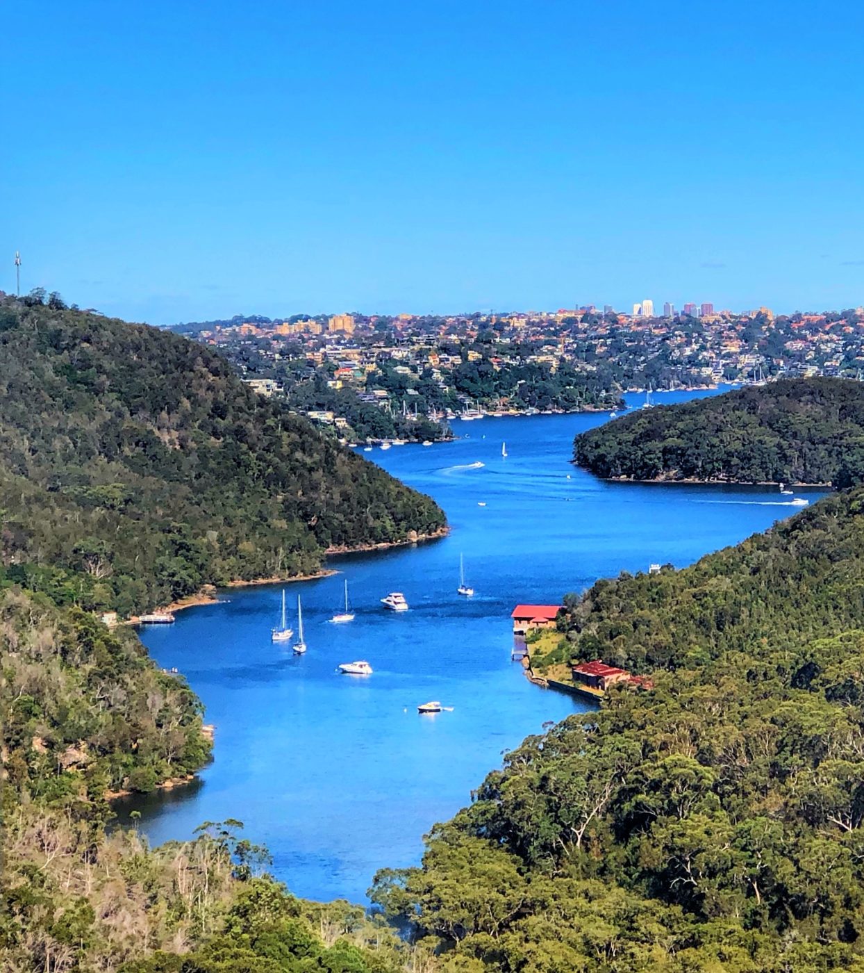 Secret repository of peace and quiet | 24 Hours in Sydney